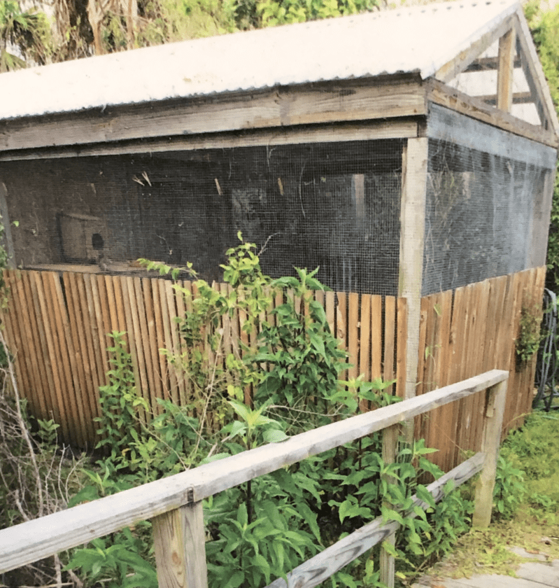 CROW finishes building four new rehab enclosures - SANIBEL-CAPTIVA ...